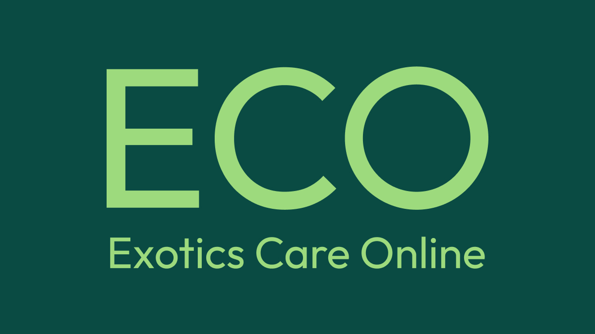 Exotic Vet Expert Advice | Exotics Care Online